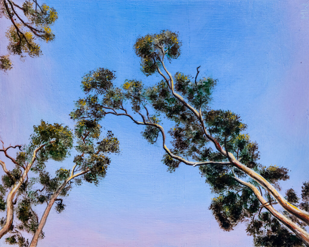 2023 Exhibition Archives - WDRC Artists